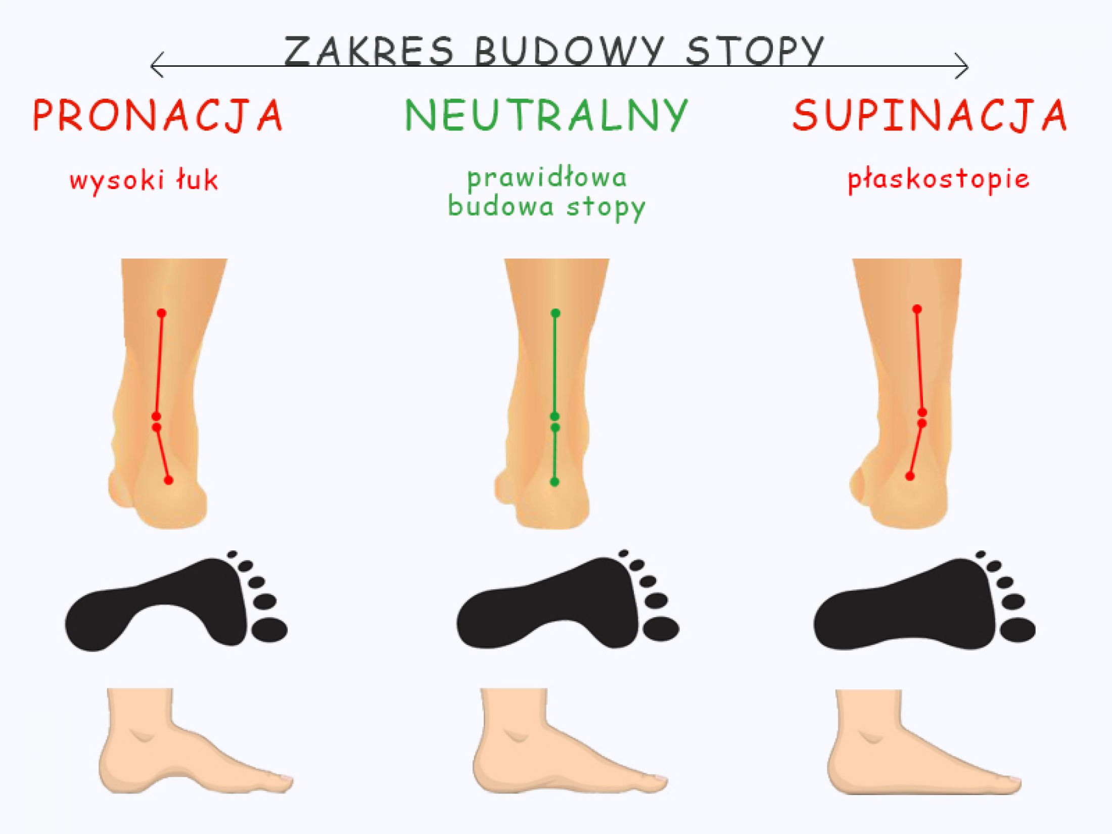 Zdrowe stopy – jak dbać o poprawną budowę stopy Zdrowe stopy – jak dbać o poprawną budowę stopy